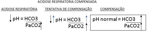 Saiba mais sobre o Equilíbrio Ácido-Básico na Ventilação Mecânica ...
