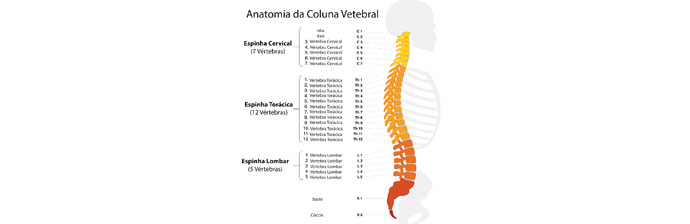 Entenda os Tipos de Dorsalgia e os Tratamentos Fisioterapêuticos