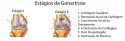 5 Técnicas Fisioterapeutas Para o Tratamento da Gonartrose