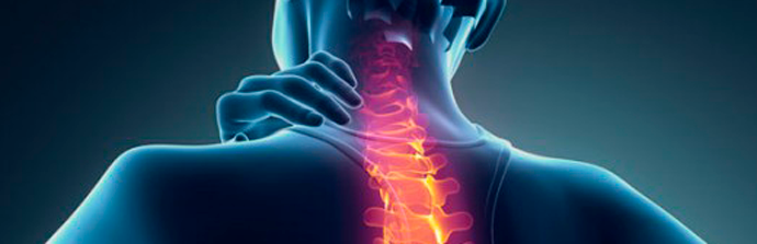 10 Exercícios de Coluna para seu Paciente fazer em Casa